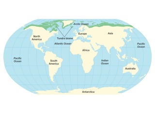 Earth’s Biomes Notes with diagrams and images | PDF