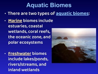 Earth’s Biomes Notes with diagrams and images | PDF