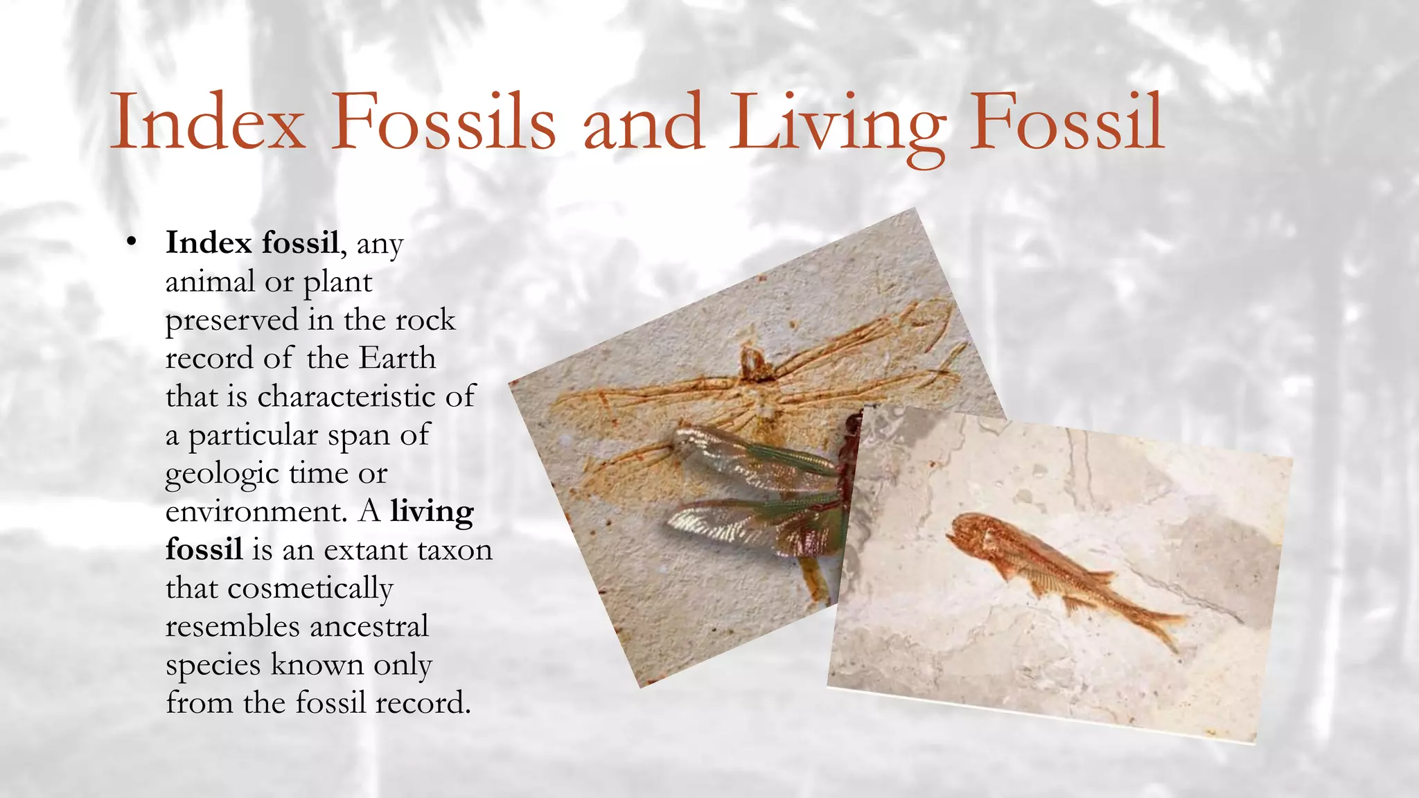 Earth science ppt | PPTX