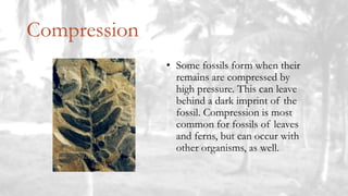 Earth science ppt | PPTX