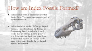 Earth science ppt | PPTX