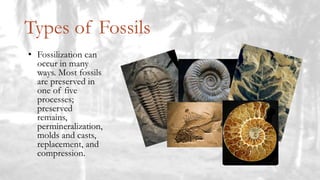 Earth science ppt | PPTX