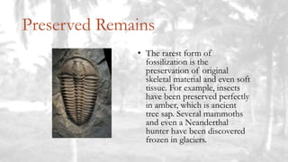 Earth science ppt | PPTX
