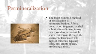 Earth science ppt | PPTX