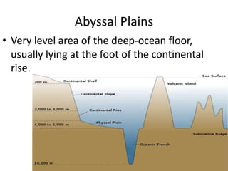 Earth science 14.2 | PPTX