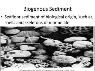 Earth science 14.3 | PPTX | Geology | Science