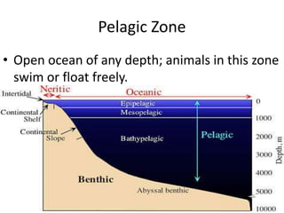 Earth science 15.2 | PPT