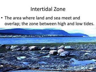 Earth science 15.2 | PPT