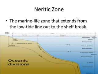 Earth science 15.2 | PPT | Free Download