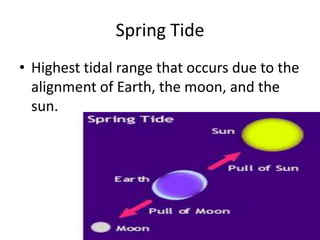 Earth science 16.2 | PPTX