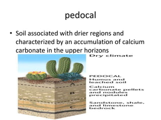 Earth science 5.2 | PPTX