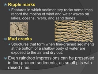 Earth science 2.3 : Sedimentary Rock | PPTX