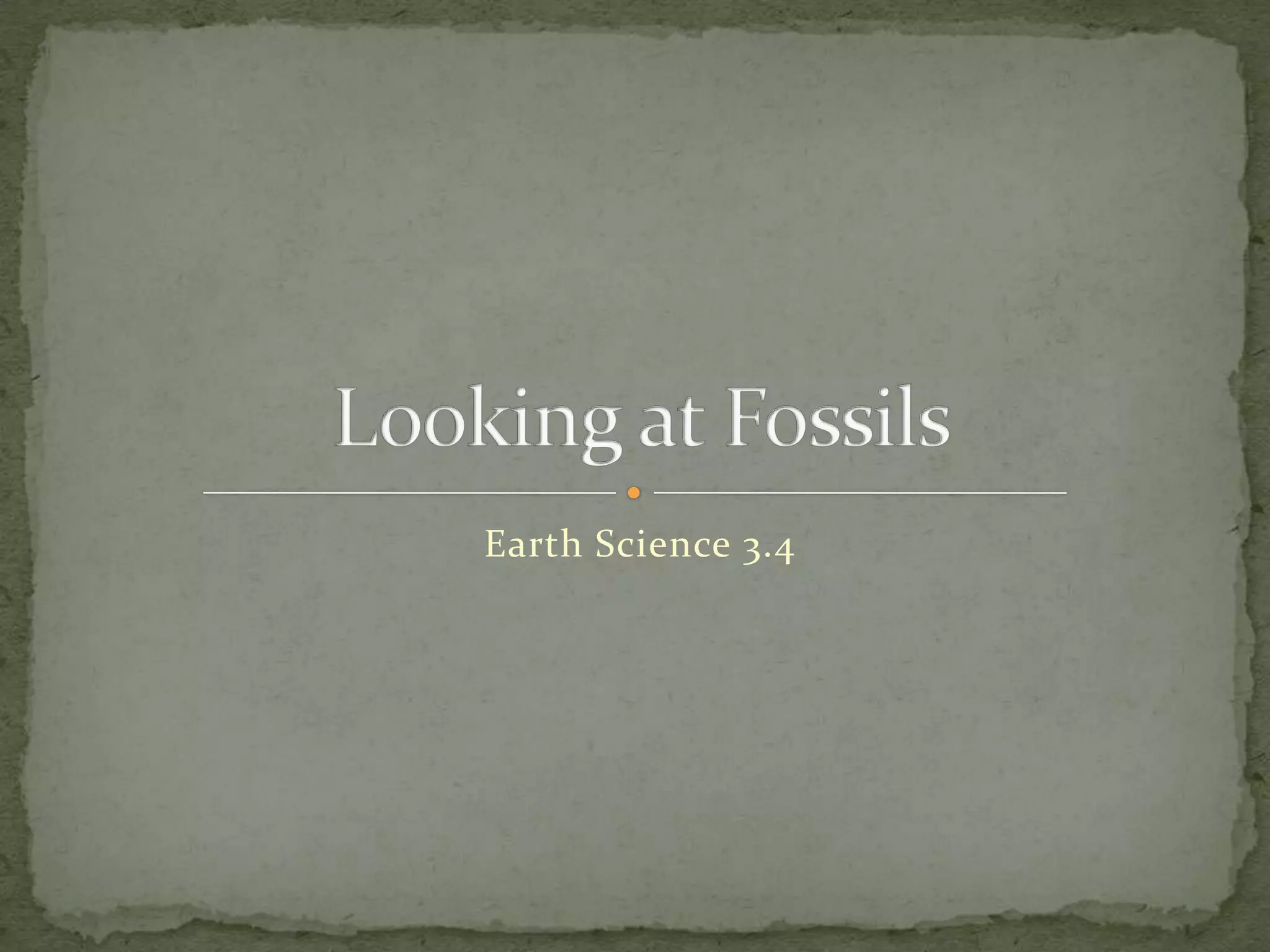 Earth Science 3.4 : Looking at Fossils | PPTX