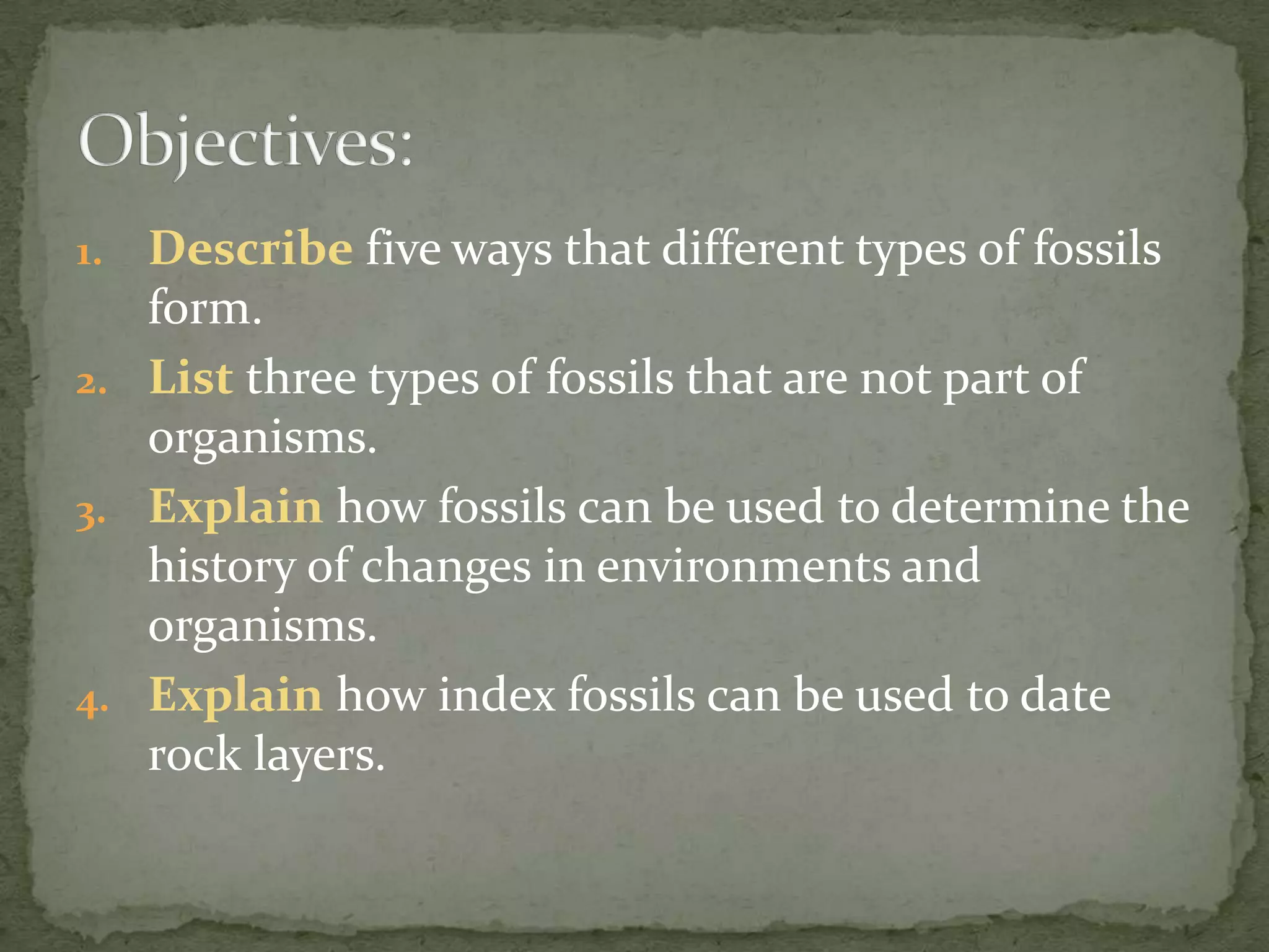 Earth Science 3.4 : Looking at Fossils | PPTX