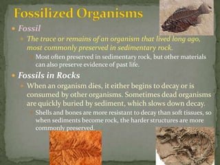 Earth Science 3.4 : Looking at Fossils | PPTX