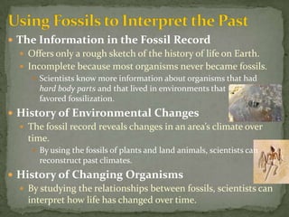 Earth Science 3.4 : Looking at Fossils | PPTX