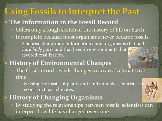 Earth Science 3.4 : Looking at Fossils | PPT