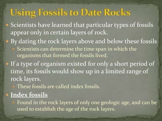 Earth Science 3.4 : Looking at Fossils | PPTX