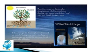 Water in the Atmosphere | PPTX