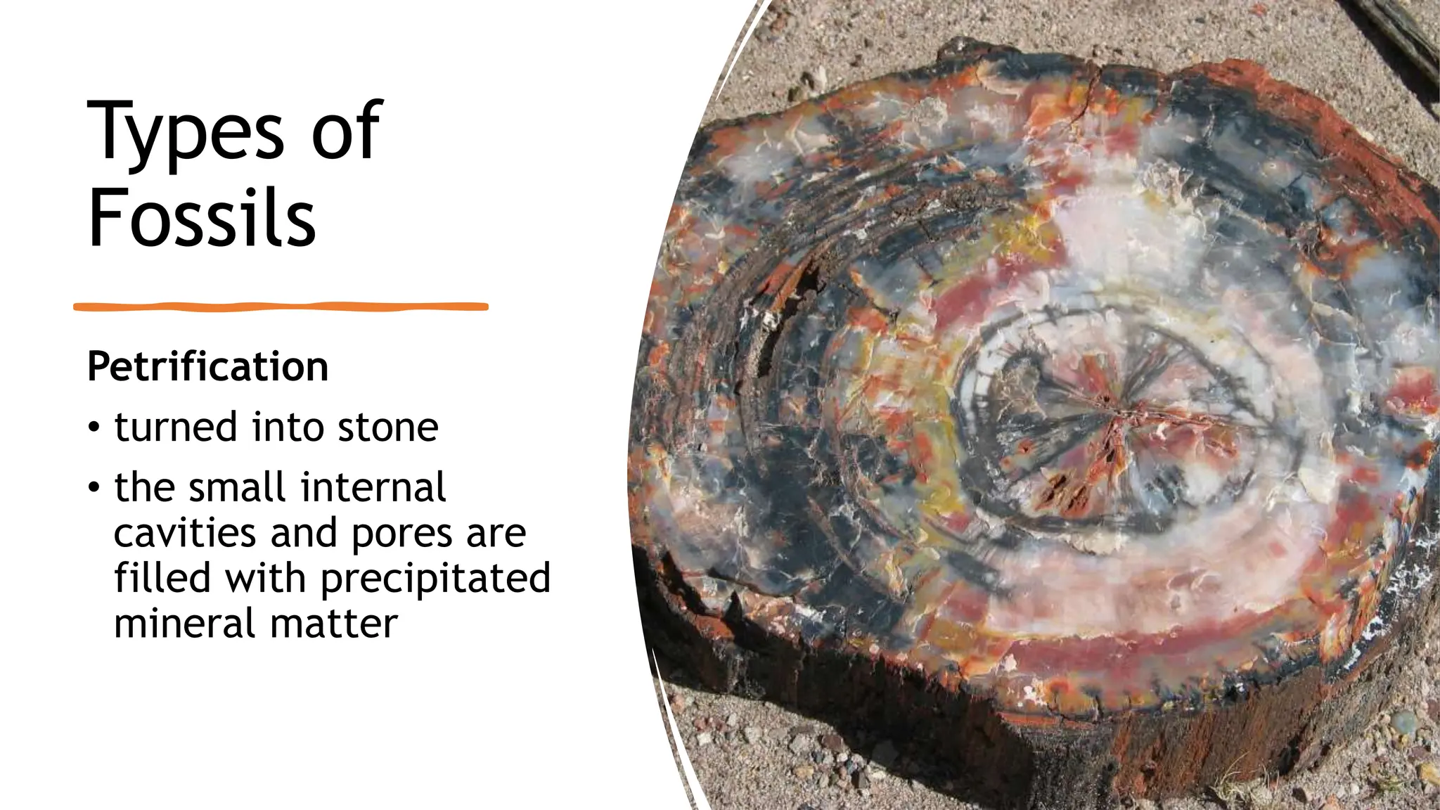 Earth Science Geologic Time and Fossils.pptx | Chemistry | Science