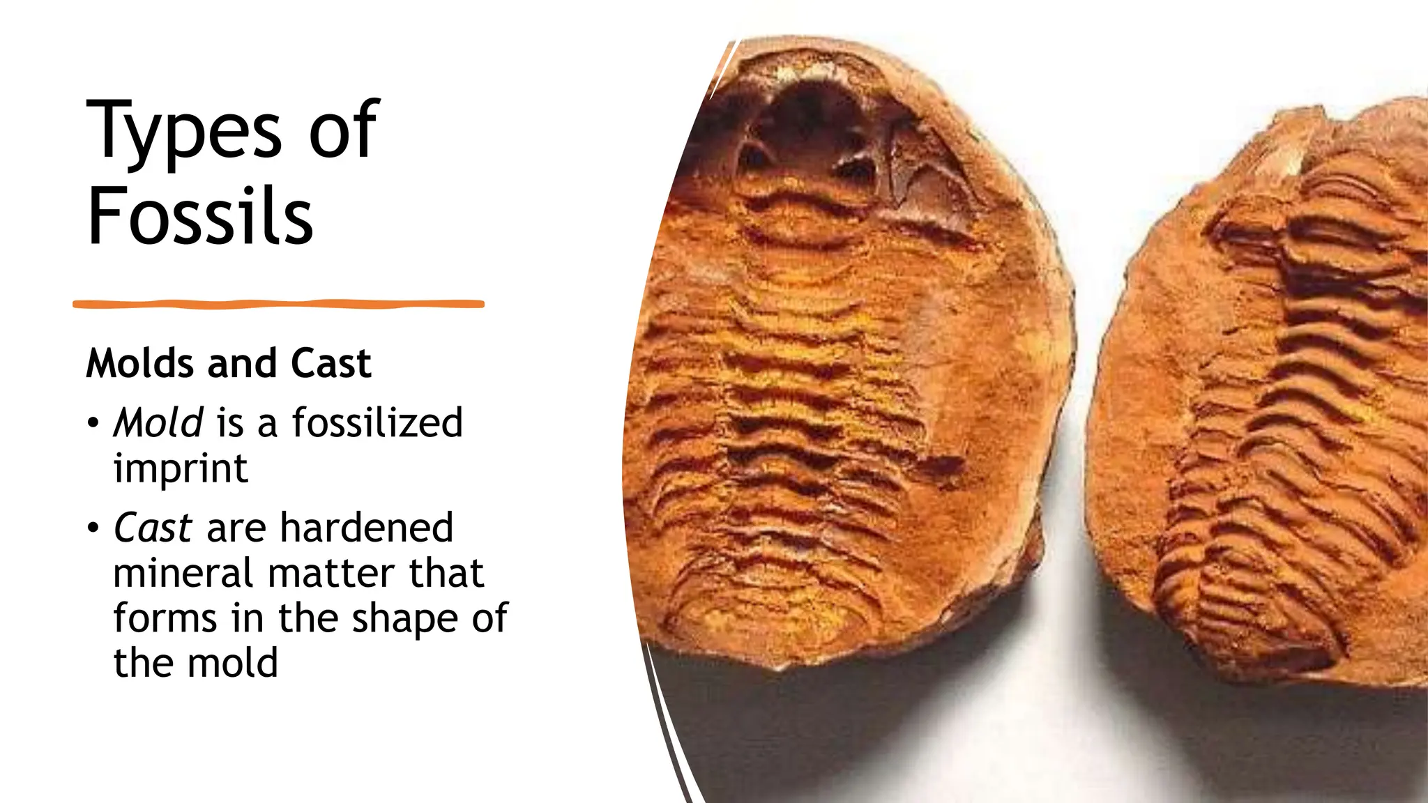 Earth Science Geologic Time and Fossils.pptx | Chemistry | Science