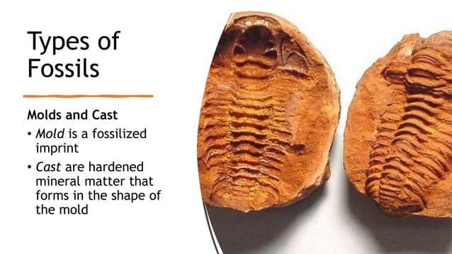 Earth Science Geologic Time and Fossils.pptx | Chemistry | Science