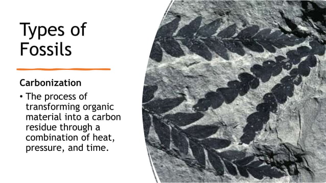 Earth Science Geologic Time and Fossils.pptx | Chemistry | Science