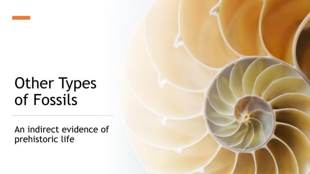 Earth Science Geologic Time and Fossils.pptx | Chemistry | Science