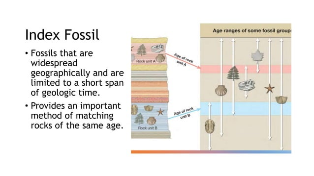 Earth Science Geologic Time and Fossils.pptx | Chemistry | Science
