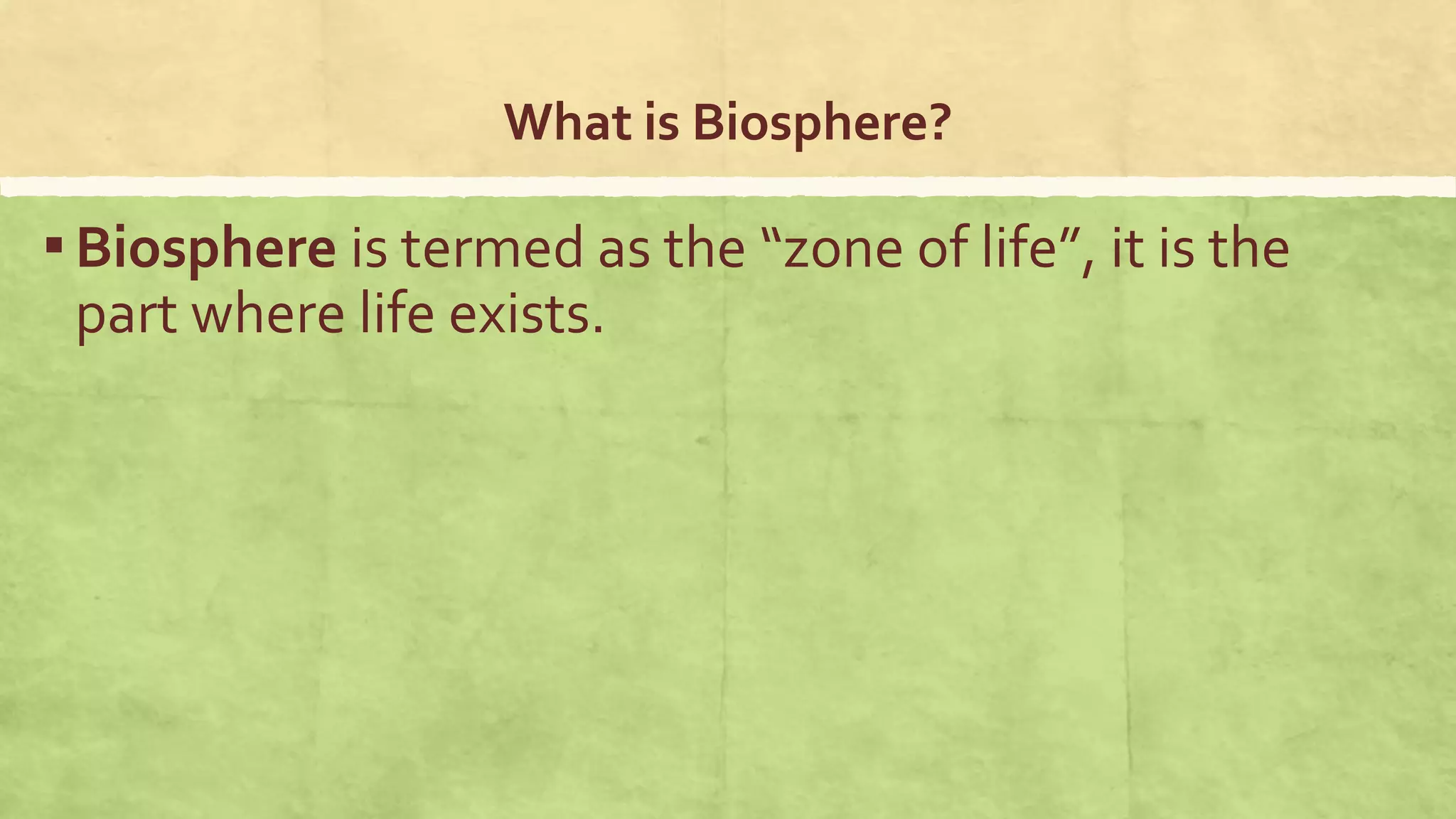 The Four Systems and the Four Subsystems | PPTX