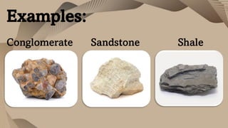 EARTH & SCIENCE (REPORT SEDIMENTARY RORRCK ).pdf