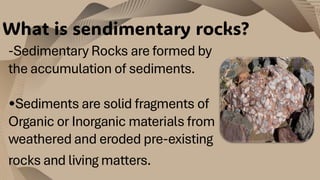 EARTH & SCIENCE (REPORT SEDIMENTARY RORRCK ).pdf