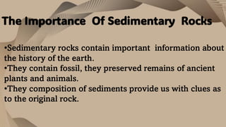 EARTH & SCIENCE (REPORT SEDIMENTARY RORRCK ).pdf