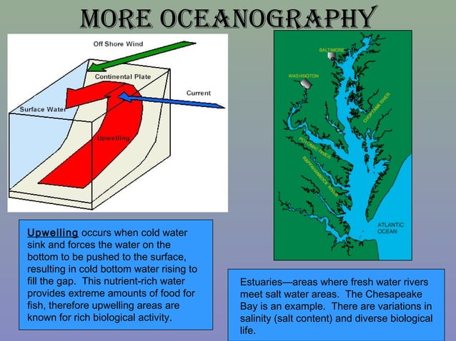 Earth Science SOL Review | PPT
