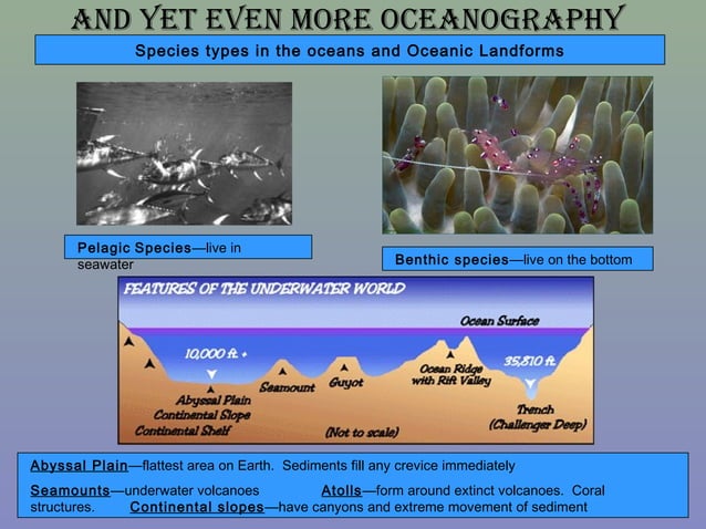 Earth Science SOL Review | PPT