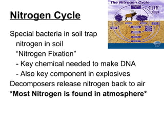 Earth’S Cycles | PPS