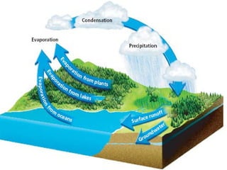 Earth’S Cycles | PPS