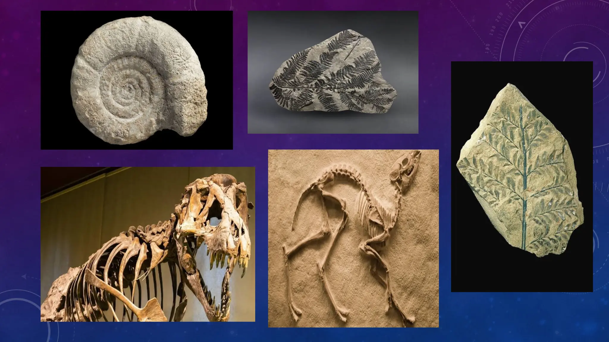 EARTH'S HISTORY_geological Time scale.pptx