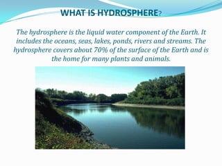 Earth's hydrosphere and water pollution | PPTX