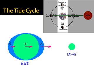 Earth's moon | PPT