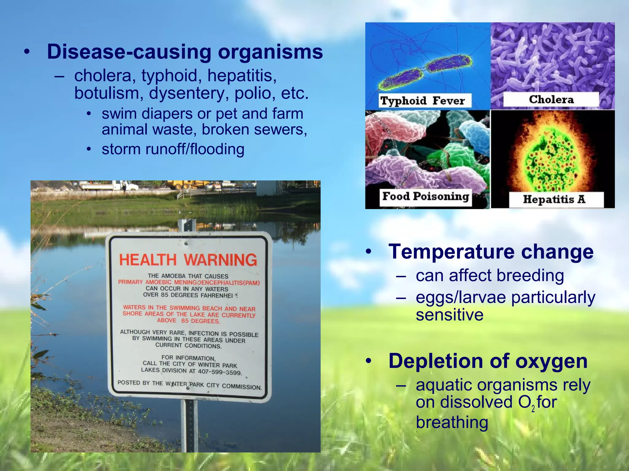 Earth's Natural Resources | PPT