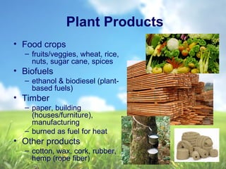 Earth's Natural Resources | PPT