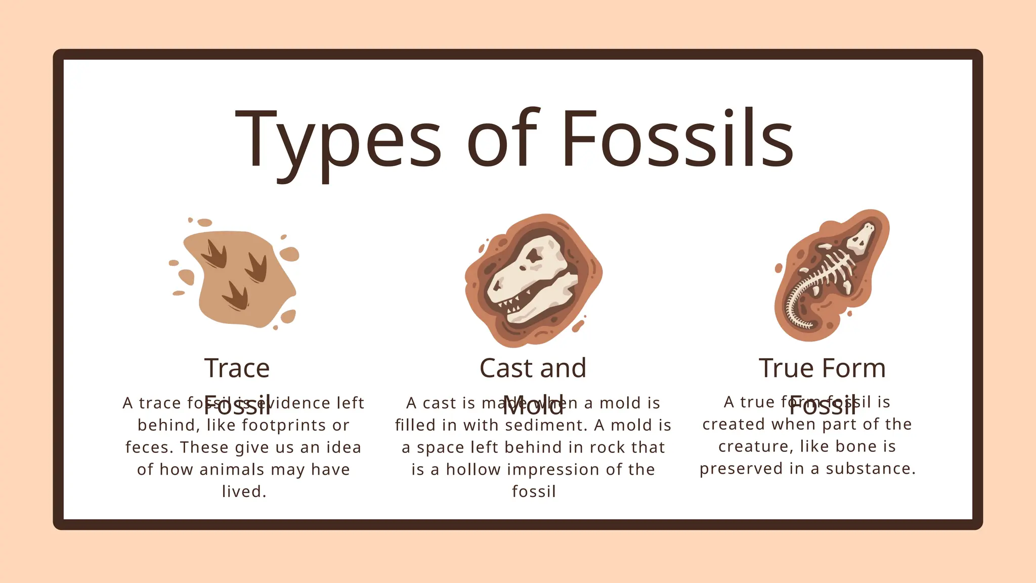 Earth's Rock Layers and Fossils Science Presentation Muted Colors ...