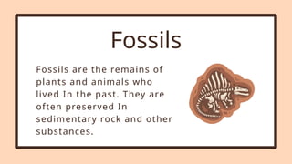 Earth's Rock Layers and Fossils Science Presentation Muted Colors ...