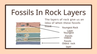 Earth's Rock Layers and Fossils Science Presentation Muted Colors ...