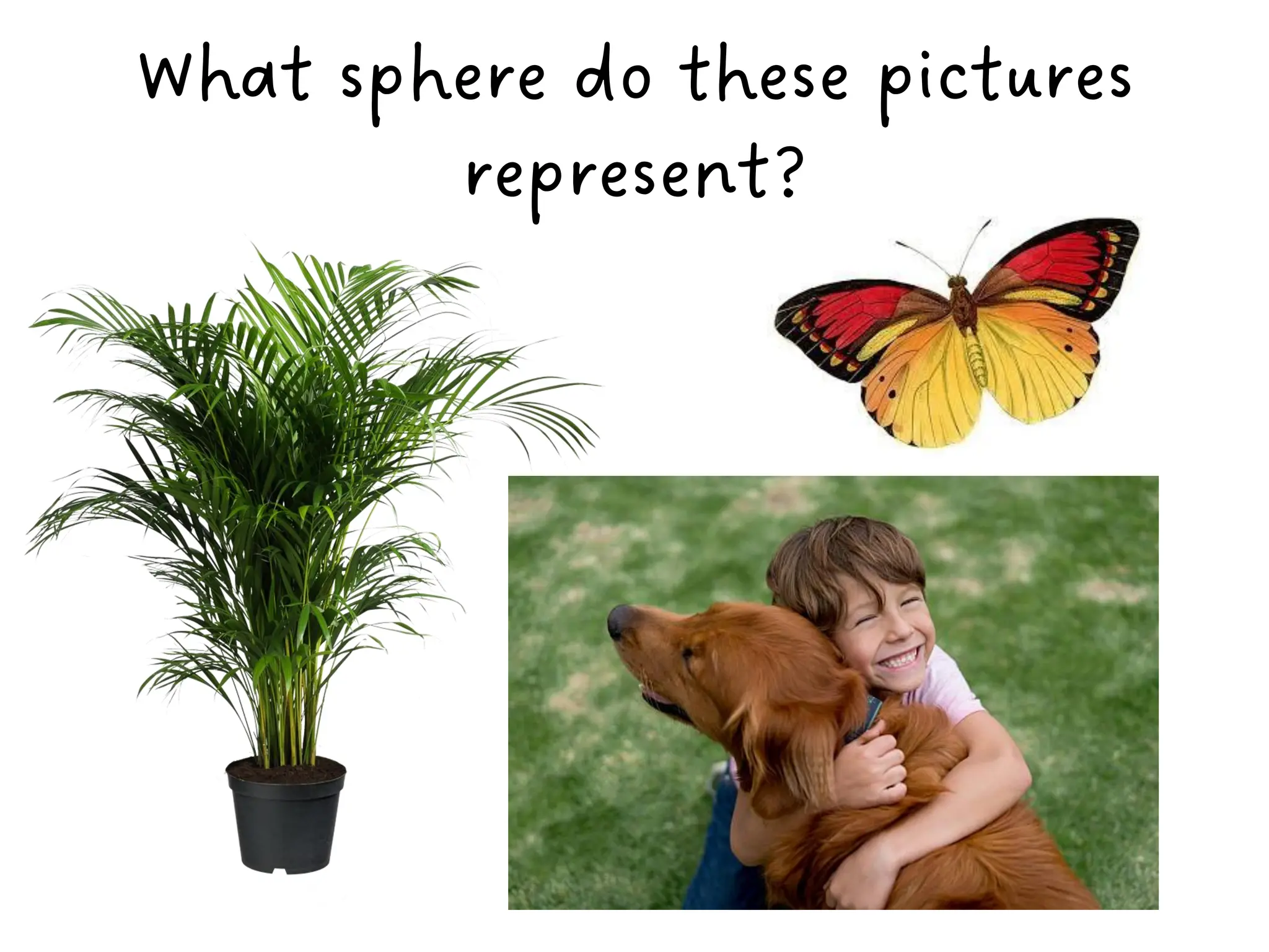 What are the Earth's Four Spheres for Kids | PDF