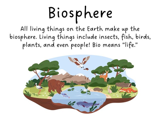 What are the Earth's Four Spheres for Kids | PDF | Geography | Science