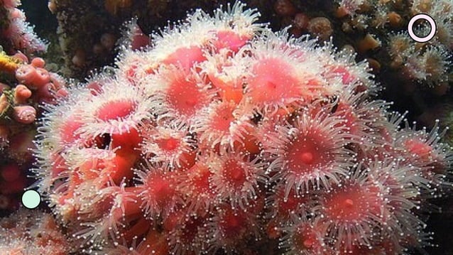 Earth Subsystem (bio, hydro, atmo and geo).pptx