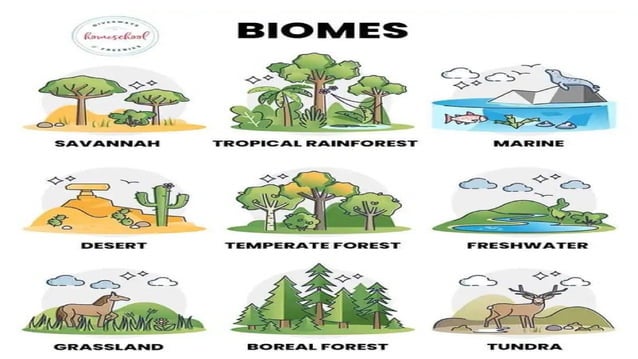 Earth Subsystem (bio, hydro, atmo and geo).pptx