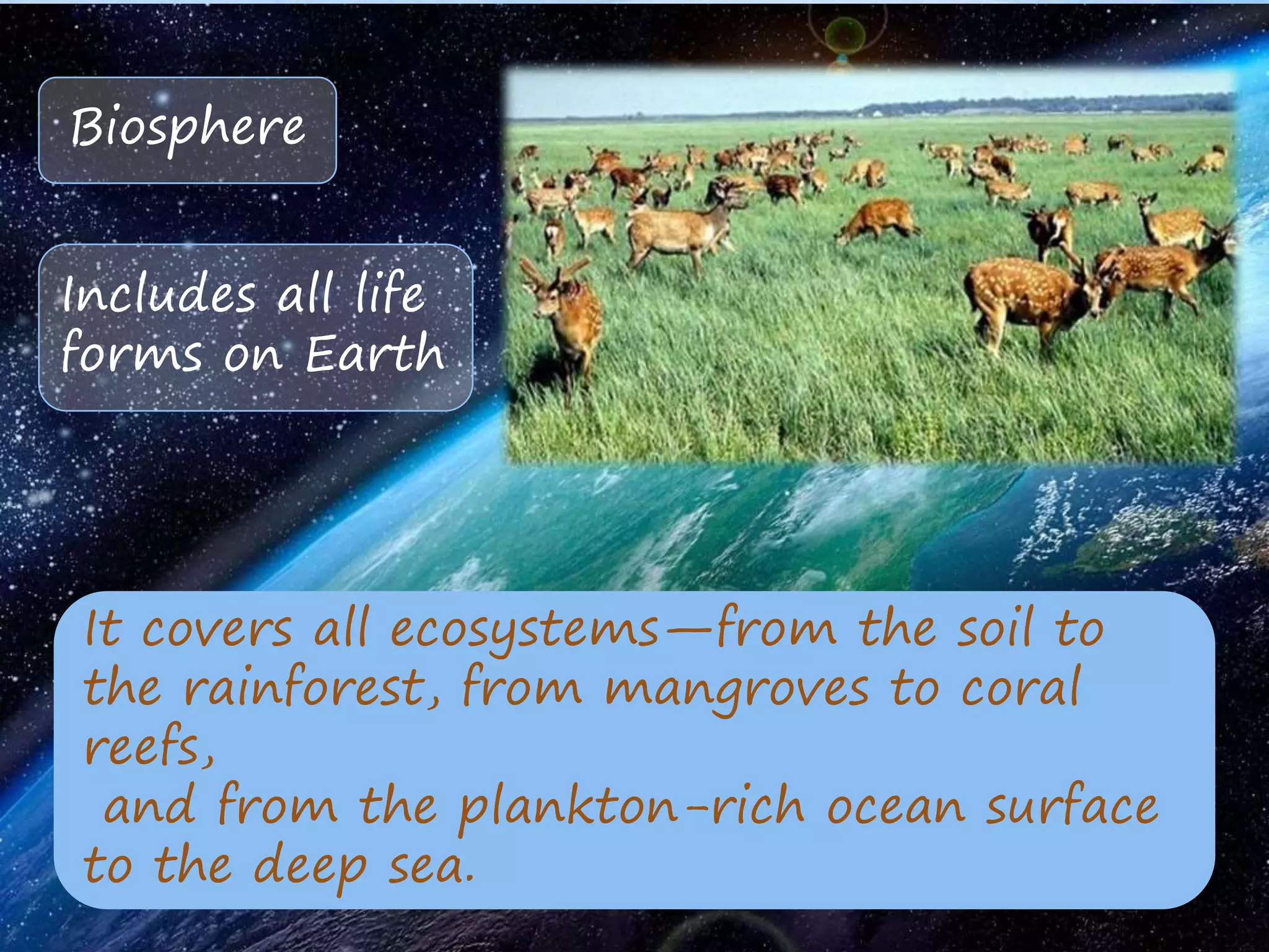 Earth subsystems | PPTX